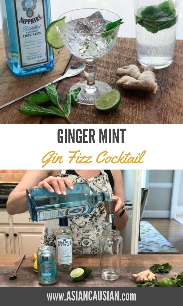 Minty Ginger Gin Fizz Cocktail - Asian Inspired Eats Food Blog